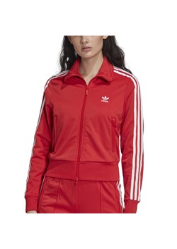 Latynoska uroda – sprawdź, jakie są jej cechy i jak ją podkreślić ...